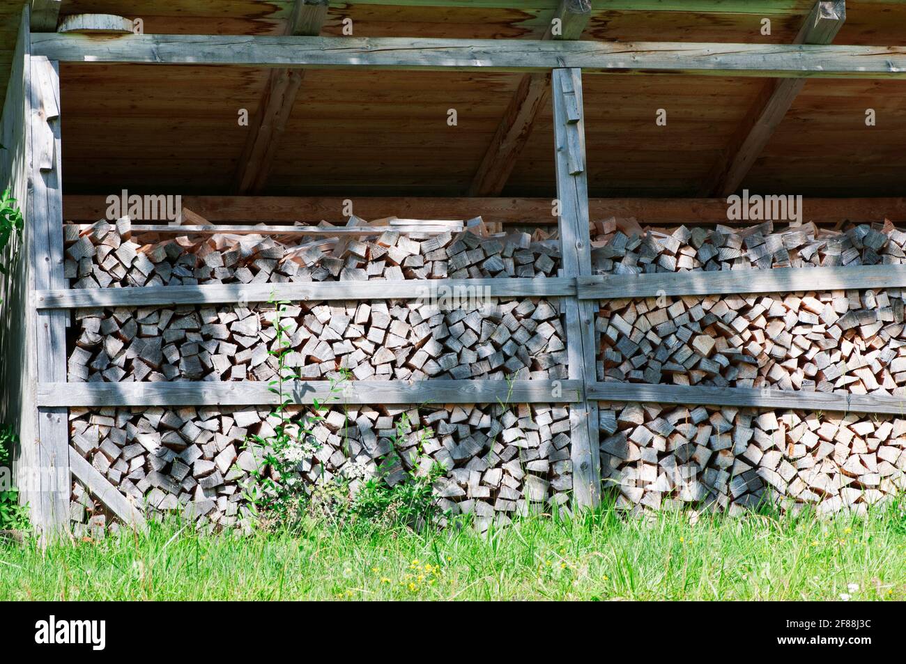 Canopy stack hi-res stock photography and images - Alamy