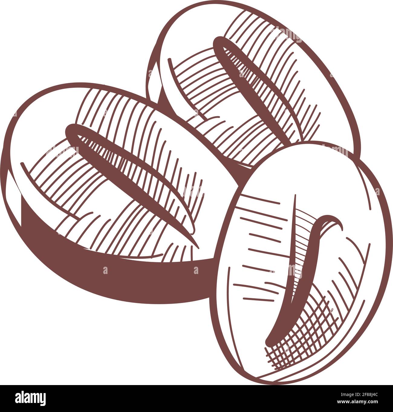 Cocoa plant seeds Stock Vector Images - Alamy