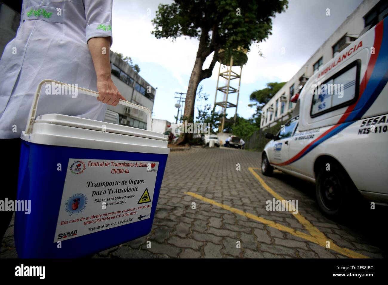 Liver transplant box hi-res stock photography and images - Alamy