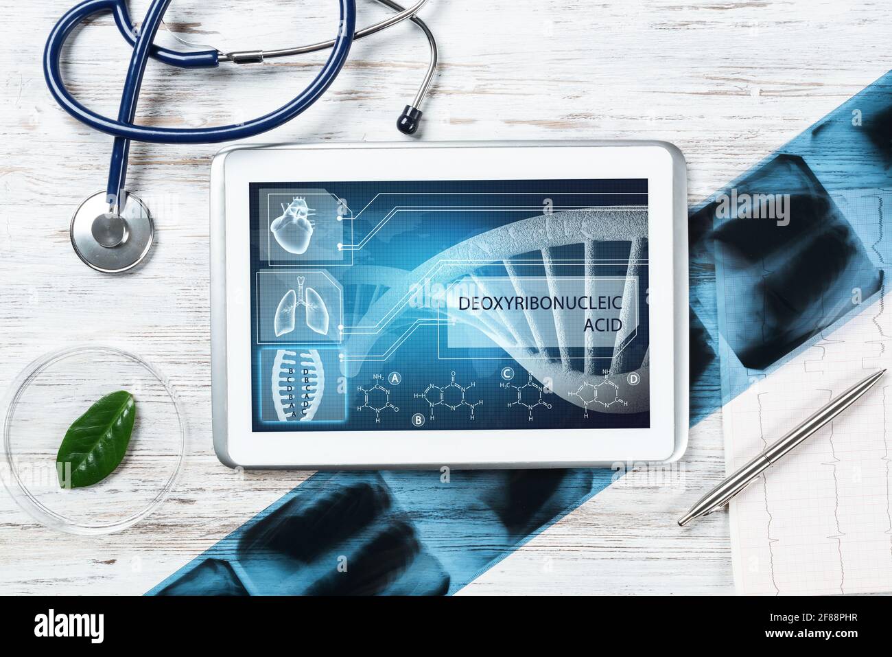 Human genetic research in medical laboratory Stock Photo - Alamy