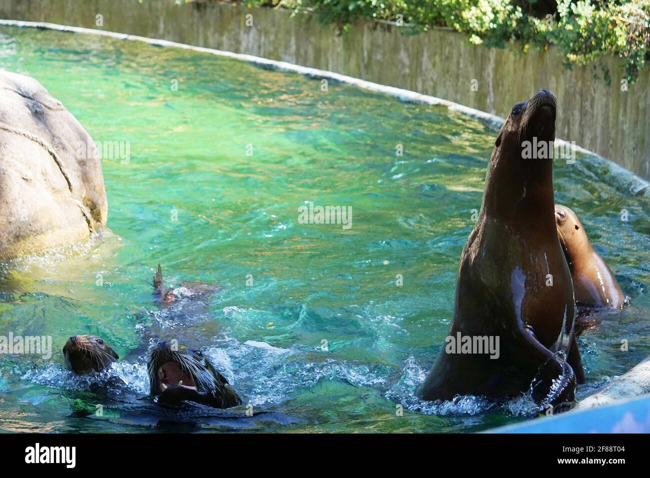 Bronx - NY - 20200904-Bronx Zoo Finally Fully Reopens to Guests After ...