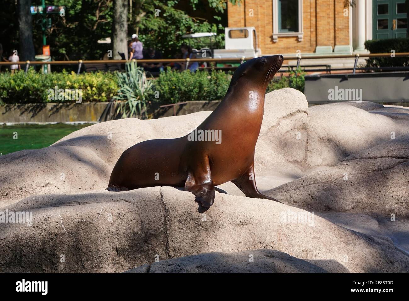 Bronx - NY - 20200904-Bronx Zoo Finally Fully Reopens to Guests After ...