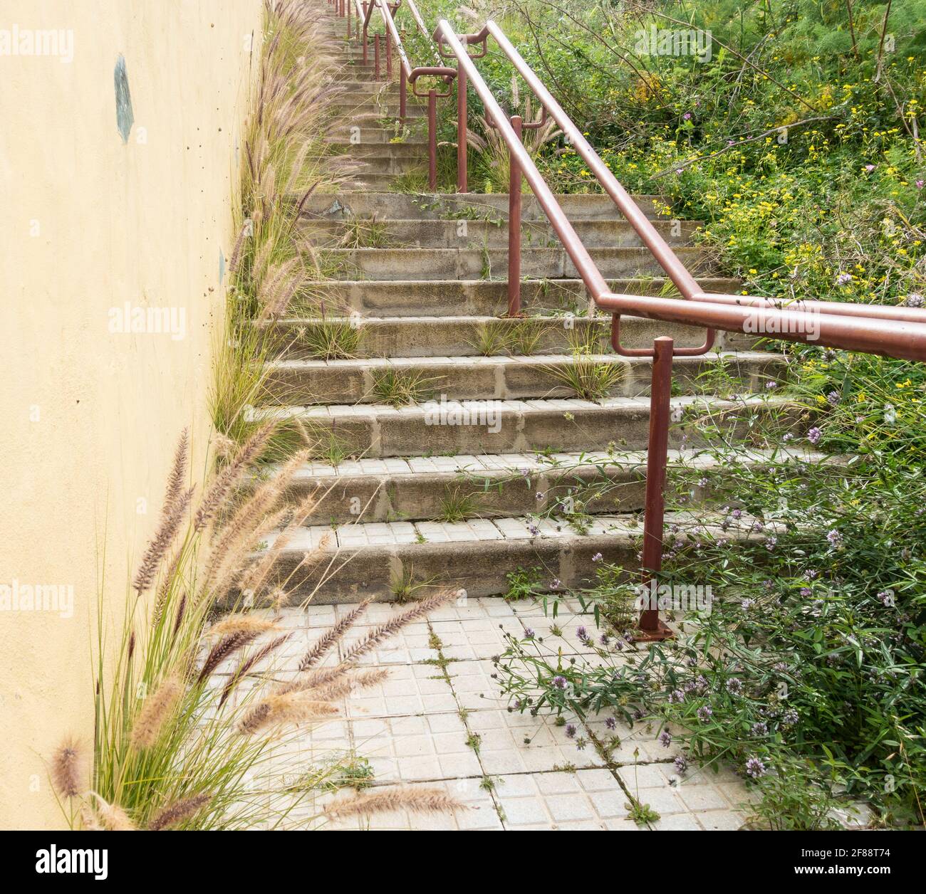 Overgrown steps hi-res stock photography and images - Alamy