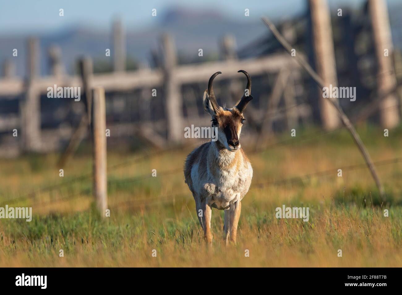 National parks canada hi-res stock photography and images - Alamy