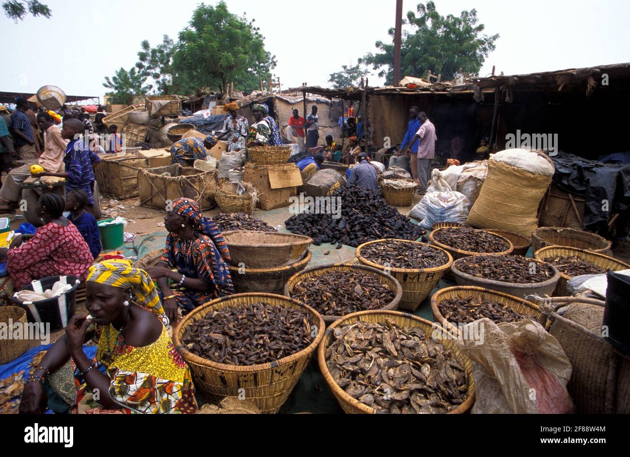 Port of Mopti and market, Mopti, Inner Niger Delta region, Mali Stock ...
