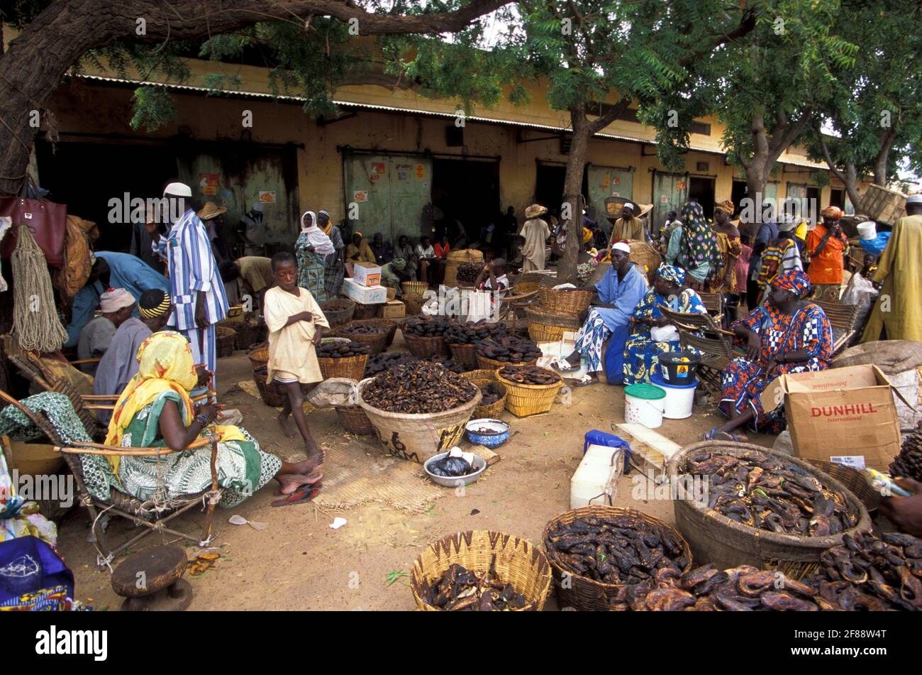 Inner fish market hi-res stock photography and images - Alamy