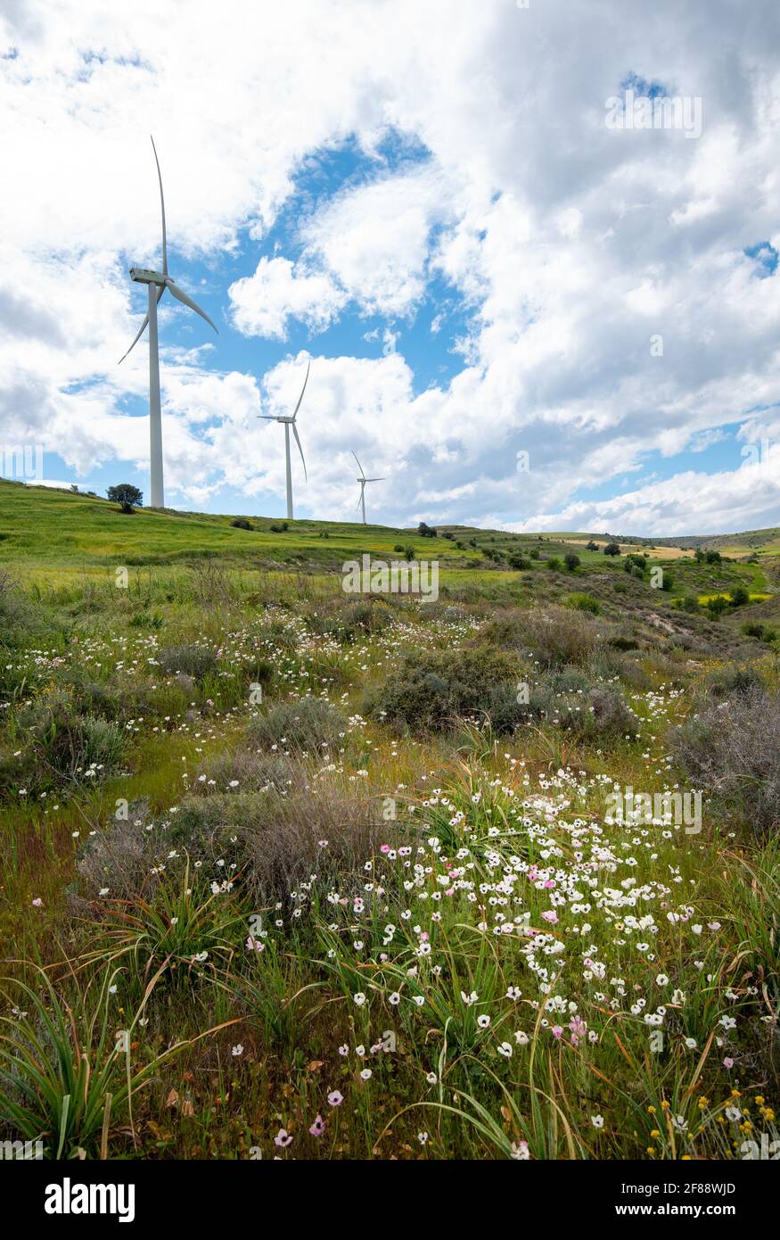 Windmills power generators on a turbine farm generating electricity ...