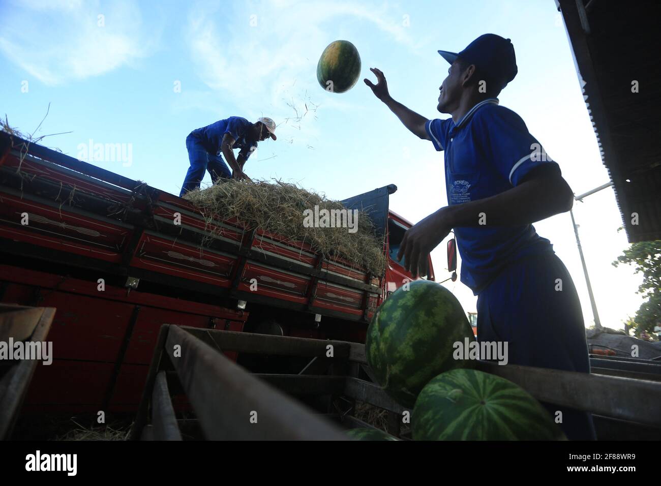 salvador, bahia / brazil - june 8, 2016: sale of watermelon in food ...