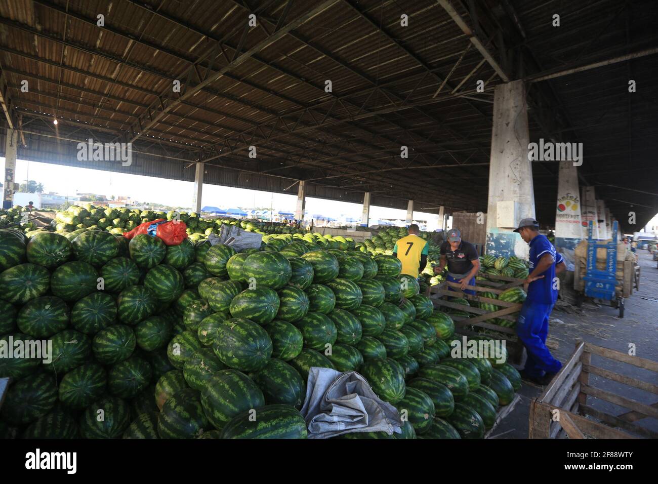 salvador, bahia / brazil - june 8, 2016: sale of watermelon in food ...