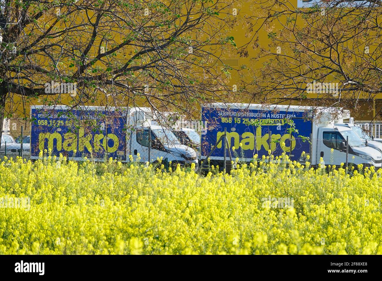 Makro logo hi-res stock photography and images - Alamy