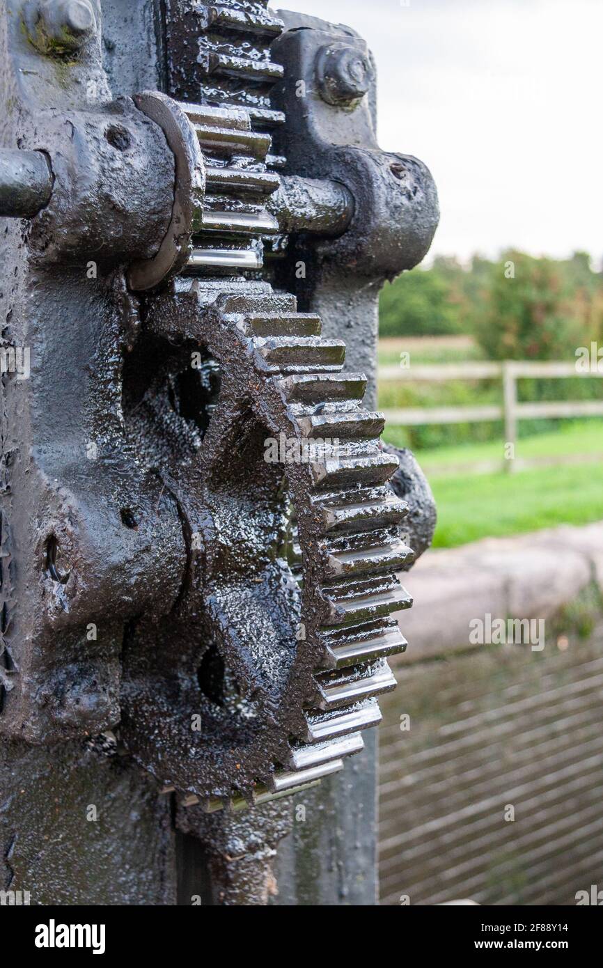 The heavily greased gears of a lock sluice are seen against the ...