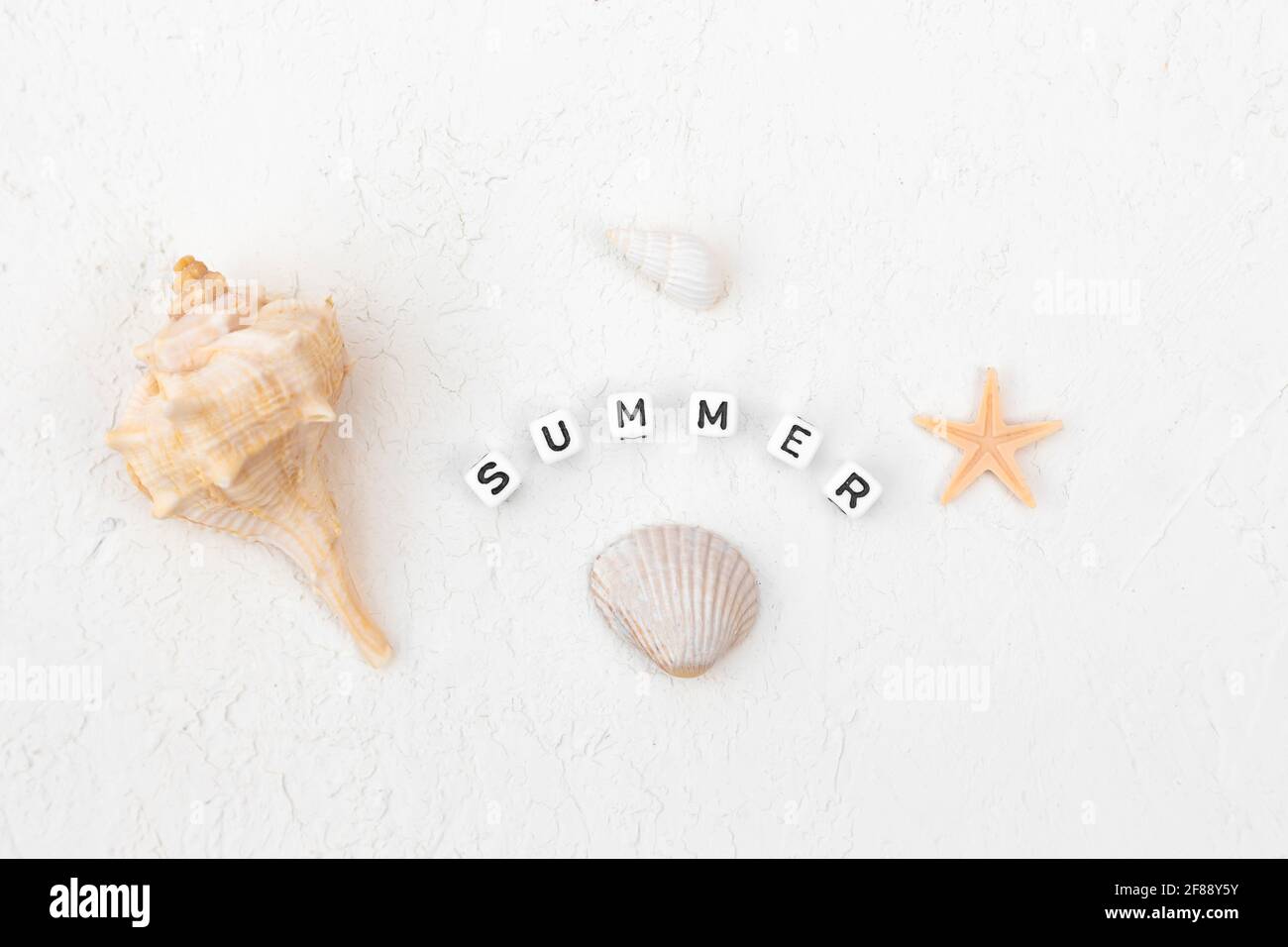 Summer title with nautical and marine creature Stock Photo - Alamy
