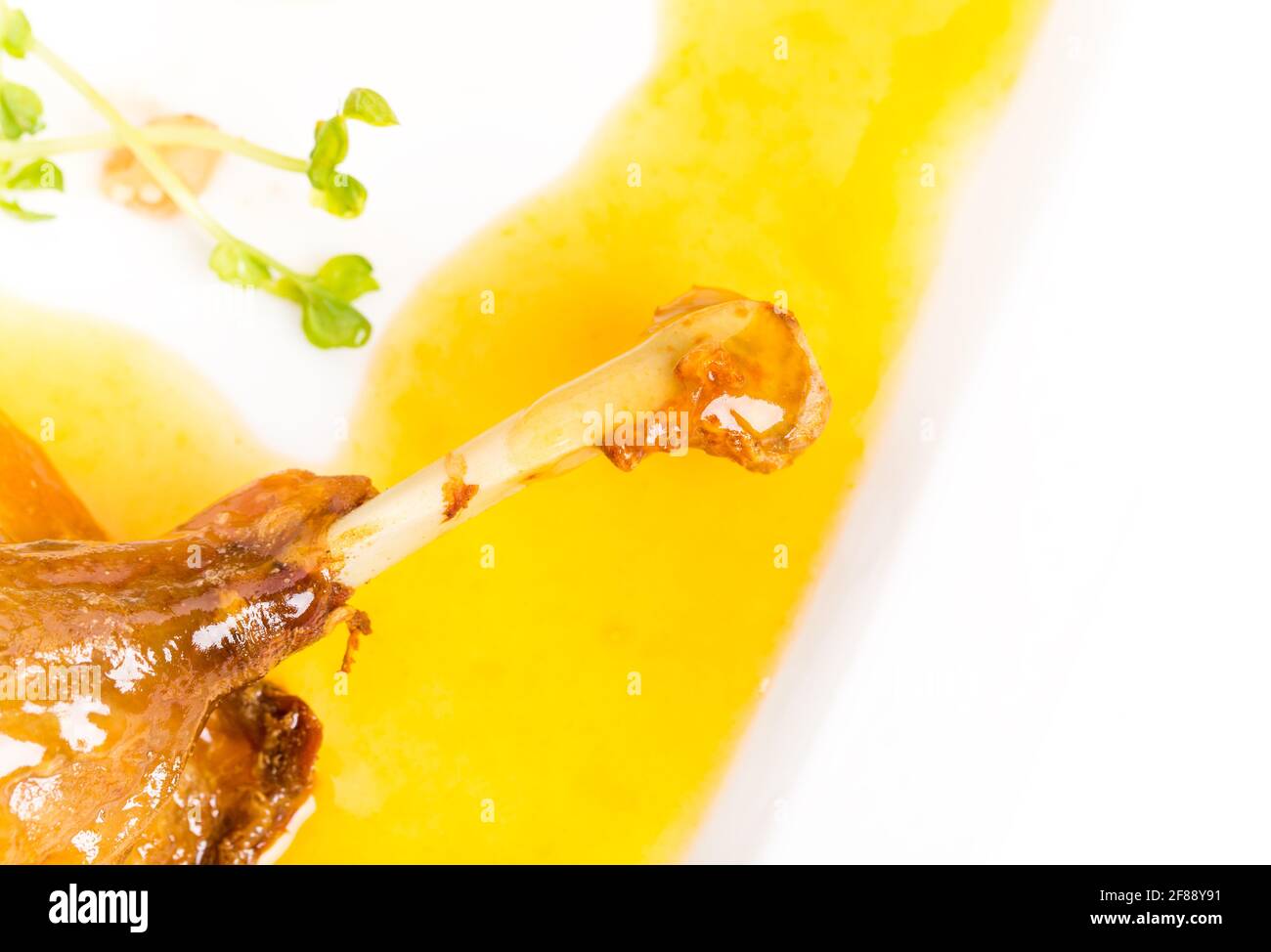 Duck leg confit with yellow sauce. Macro. Photo can be used as a whole ...