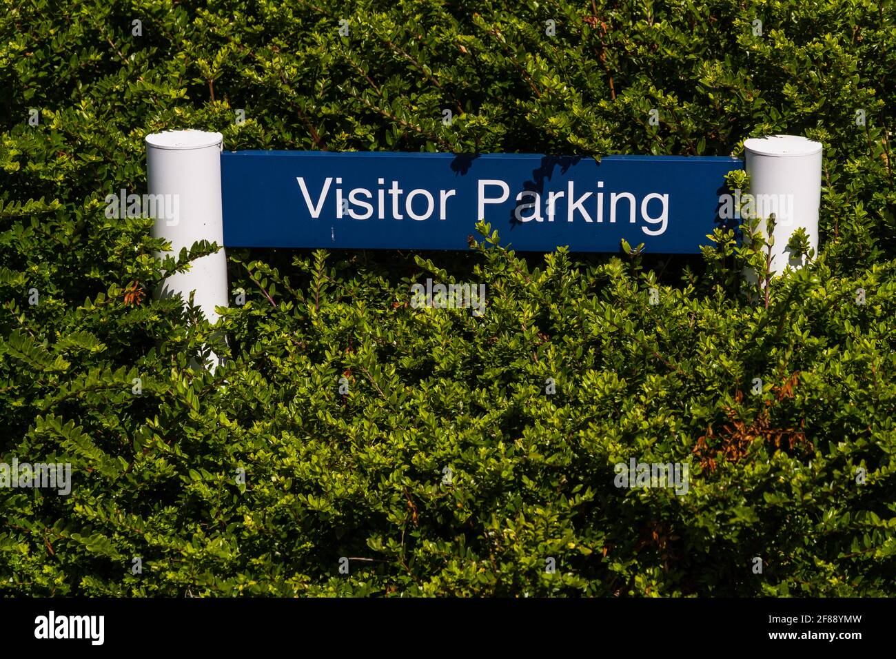 Visitor parking sign, bush background Stock Photo - Alamy