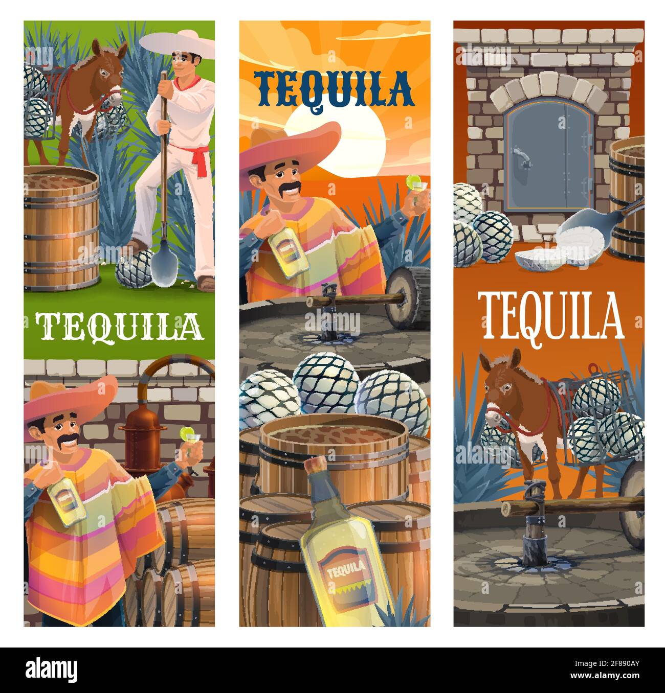 Tequila Mexican alcohol drink production banners, vector. Mexican man ...