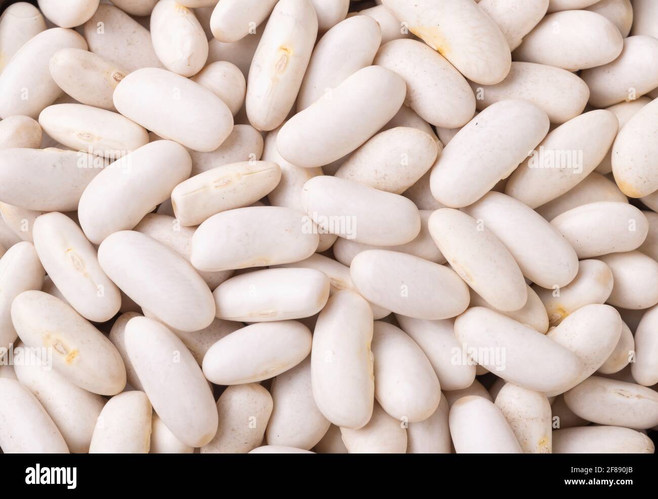 Top view, closeup of white beans. Food backdrop Stock Photo - Alamy