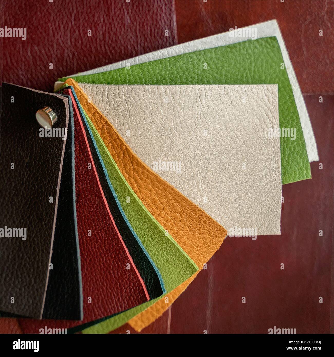 Colorful leather pieces close-up, samples of colors and texture ...