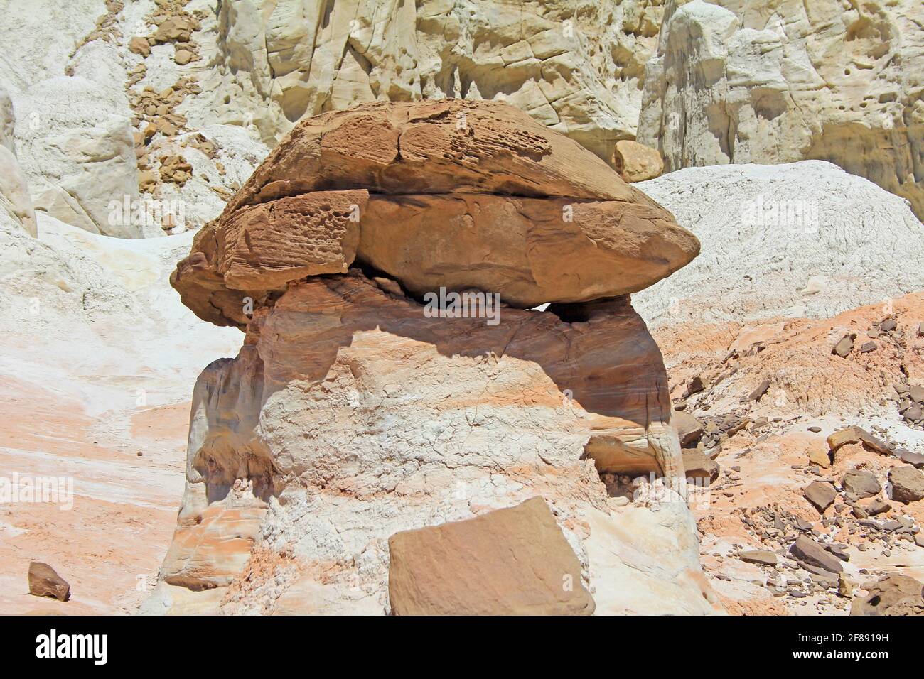 Rock mushroom, Utah Stock Photo - Alamy