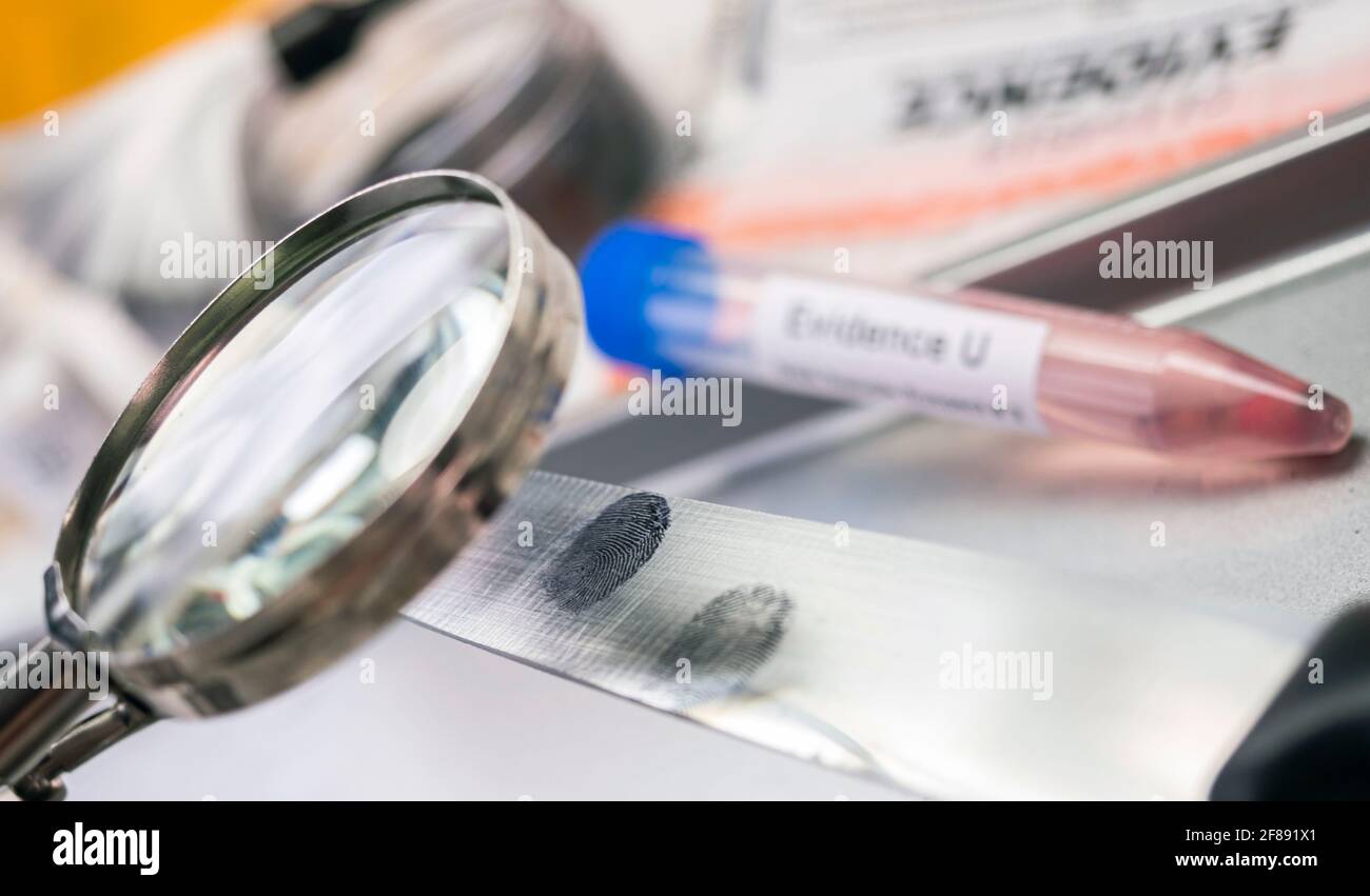 research with a magnifying glass footprint on a knife, conceptual image ...
