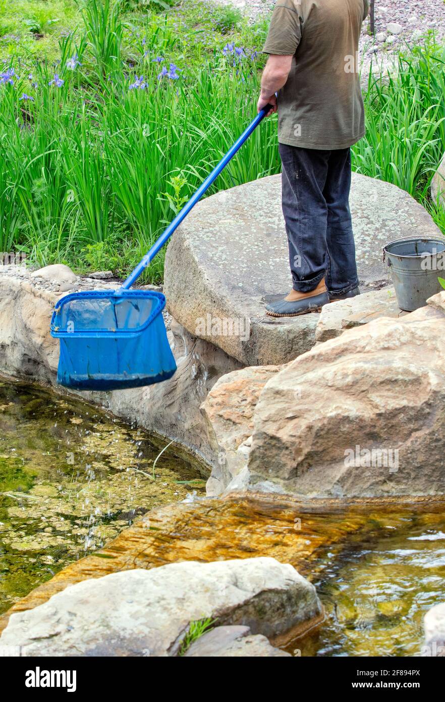 A utility worker cleans a pond of mud with a long net in a city park ...