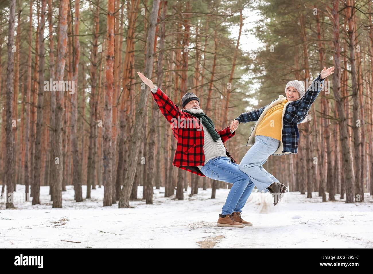 Winter dancing in forest hi-res stock photography and images - Alamy