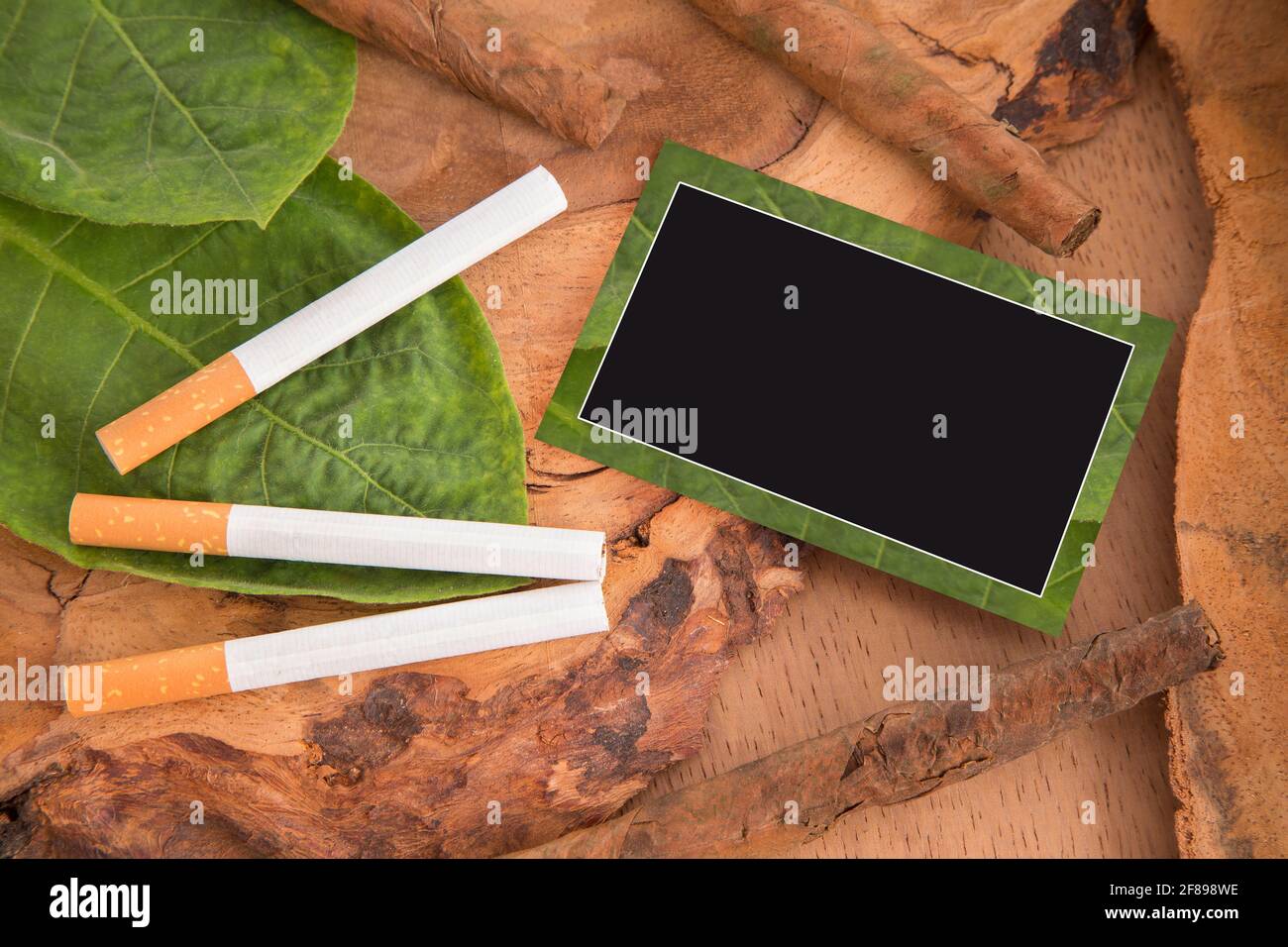 Leaves, tobacco and cigarettes - Nicotiana tabacum Stock Photo - Alamy