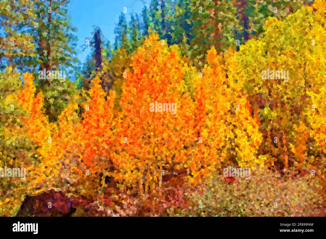 Carson River Fall Colors - A painting/illustration from a photo of fall ...