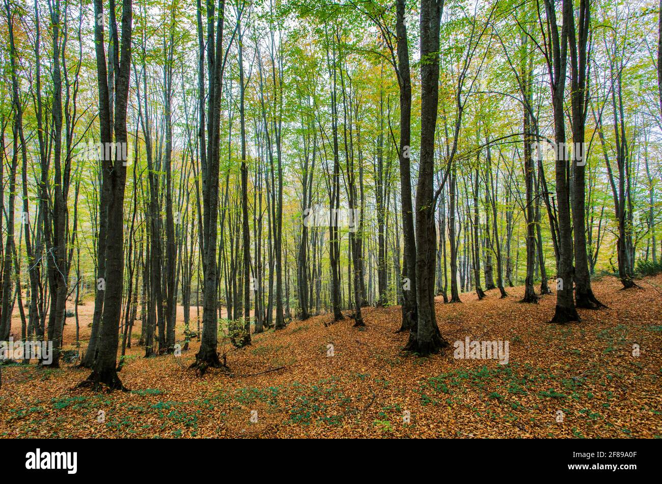 Landforms poster hi-res stock photography and images - Alamy