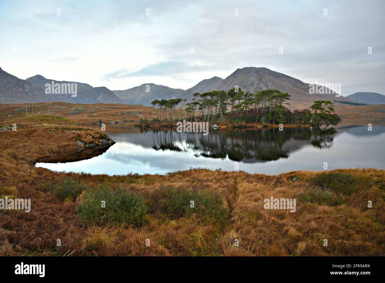 Landscape with scenic view of Pine island with the famous native ...