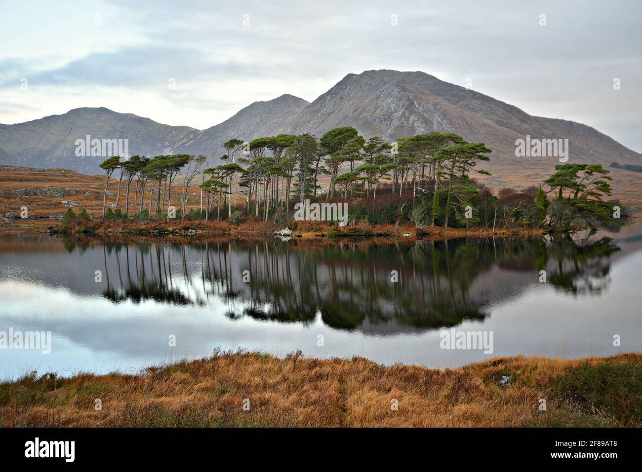 Landscape with scenic view of Pine island with the famous native ...