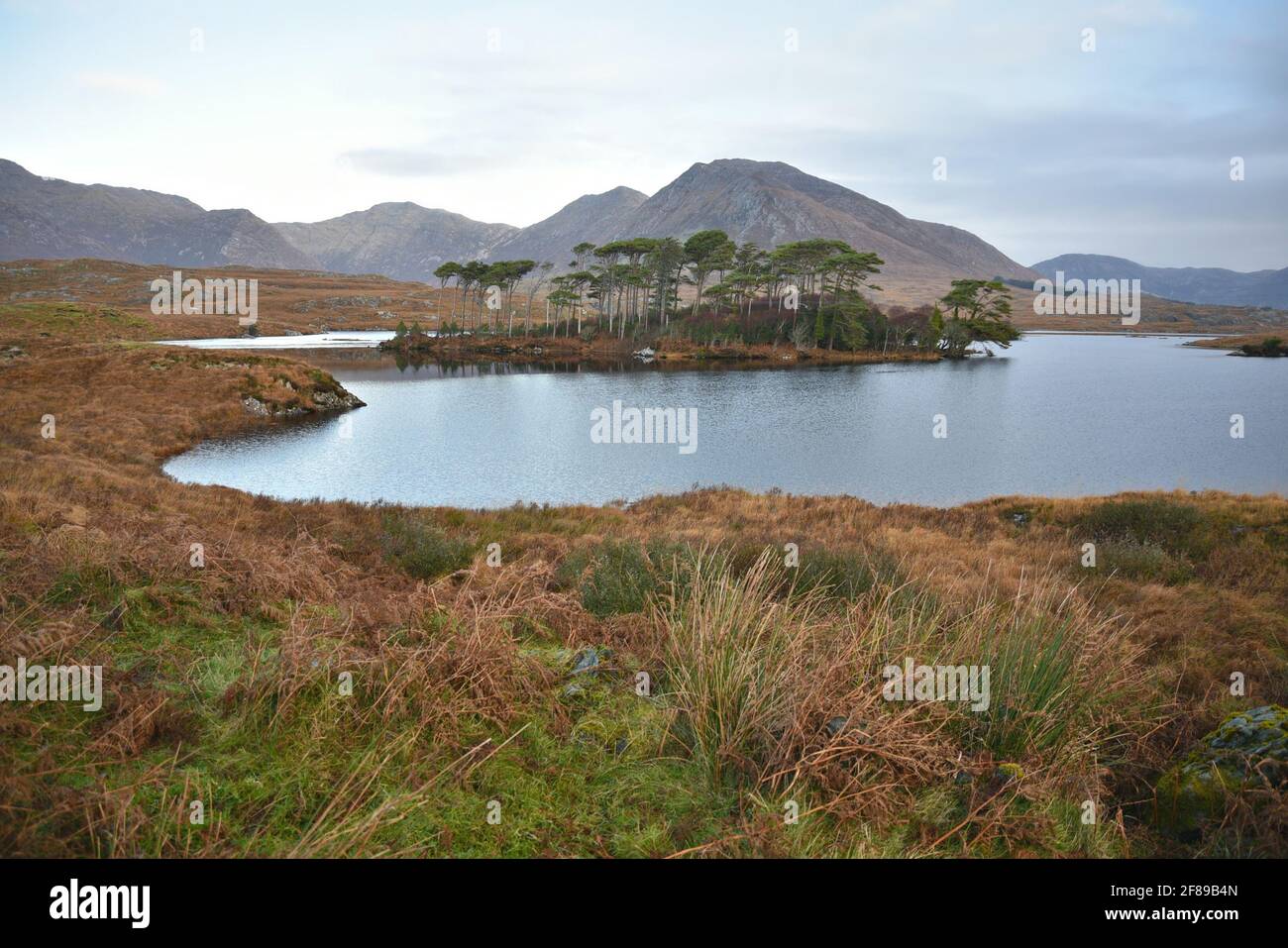 Landscape with scenic view of Pine island with the famous native ...