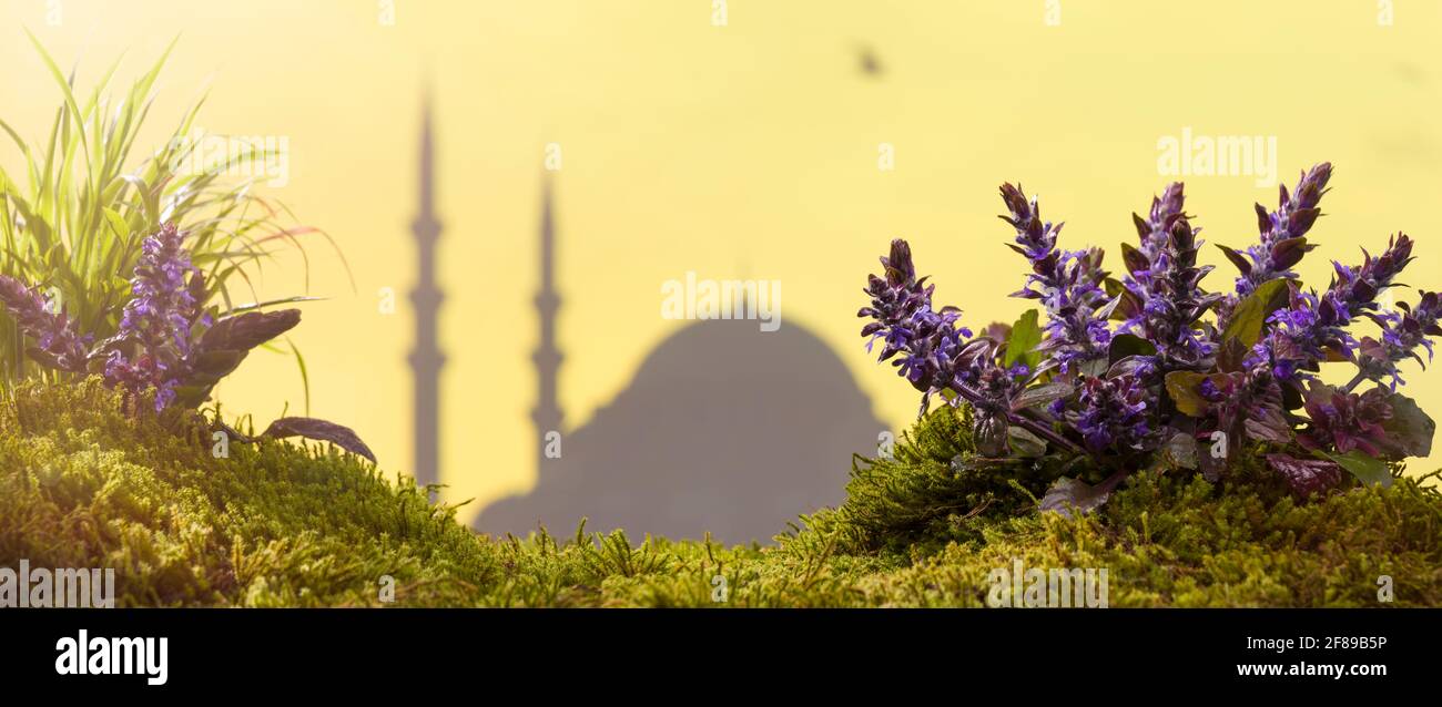 Silhouette mosque at sunset on background with spring flowers Stock ...