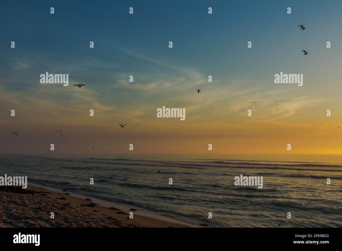 Beautiful sunset in Vagueira beach in Portugal Stock Photo - Alamy