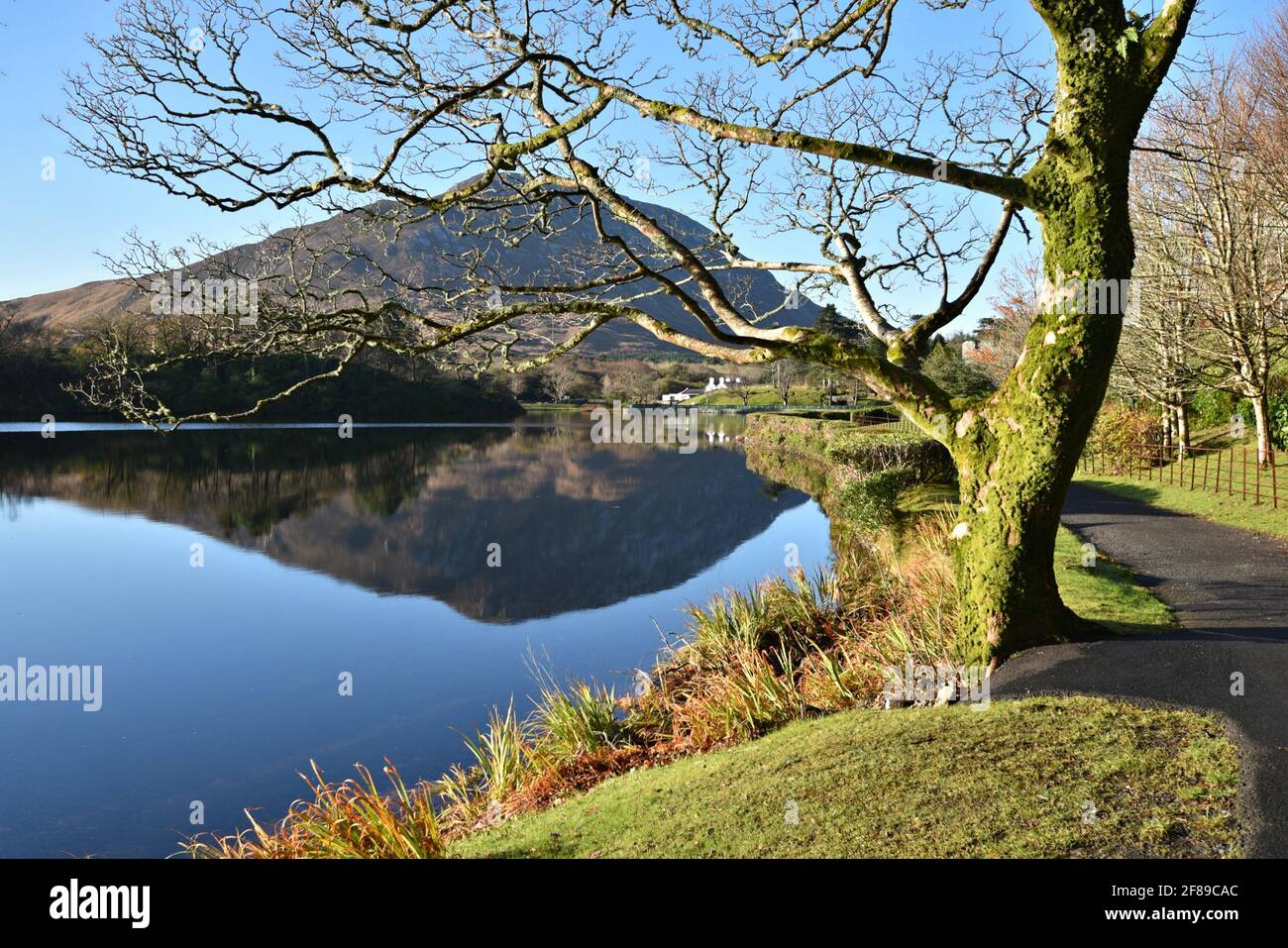 Landscape with scenic view of Kylemore Abbey Victorian Walled gardens ...