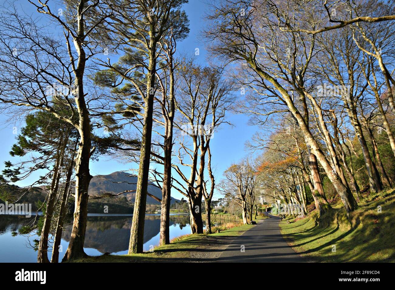 Landscape with scenic view of Kylemore Abbey Victorian Walled gardens ...