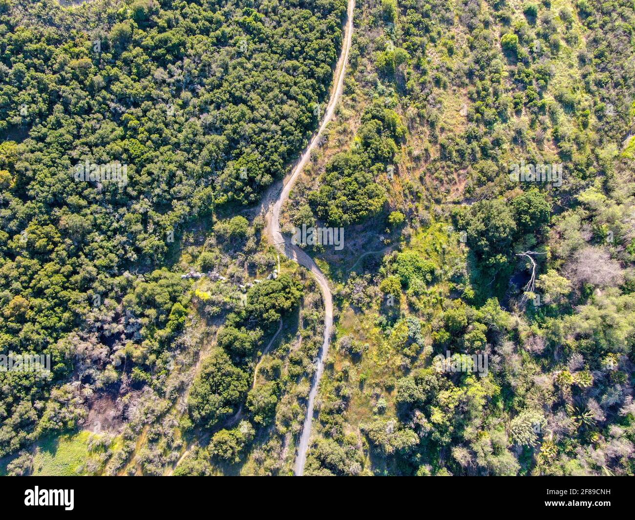 Aerial view hiking trails hi-res stock photography and images - Alamy