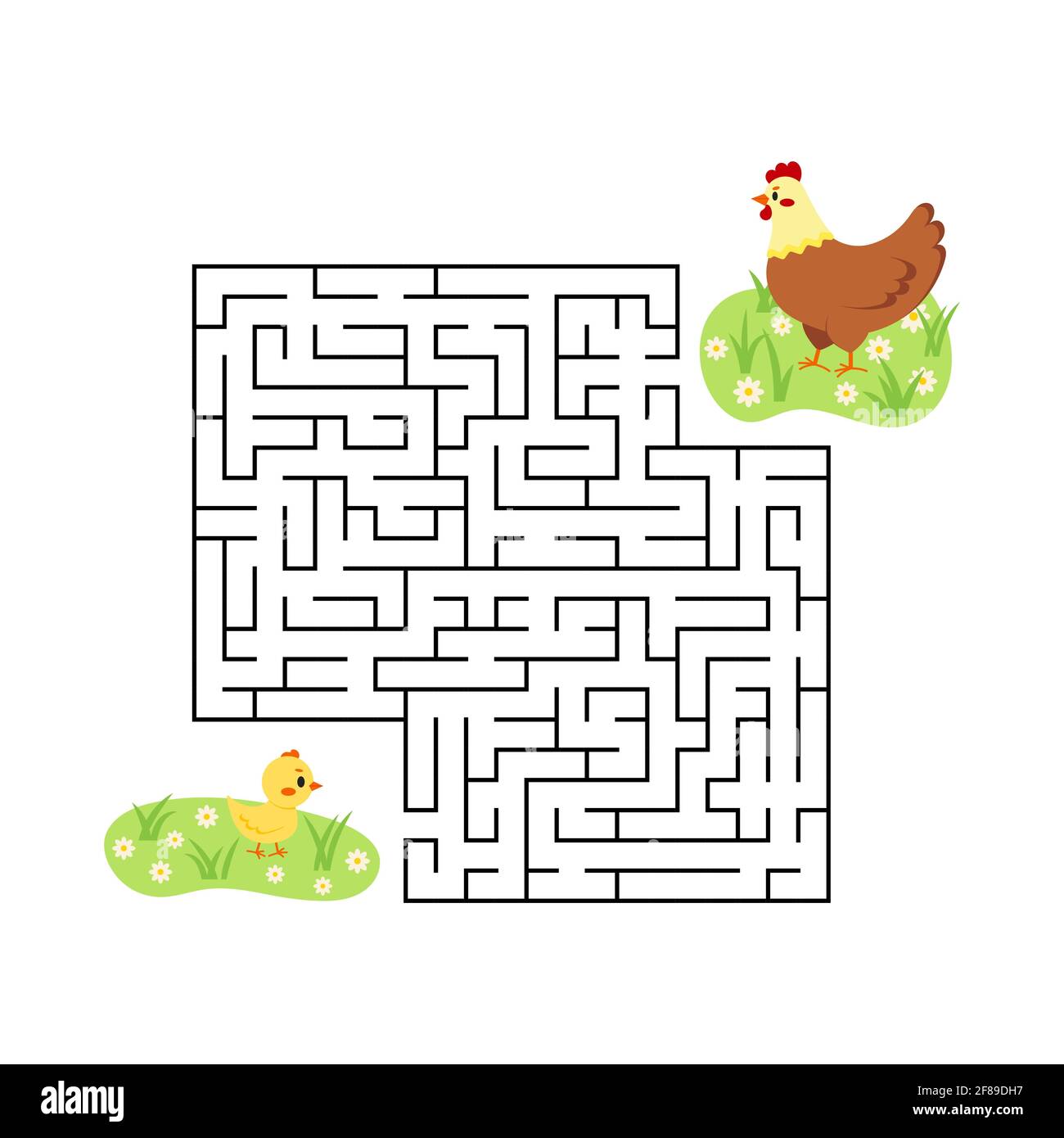 Farm maze game chicken find hen in labyrinth isolated on white ...