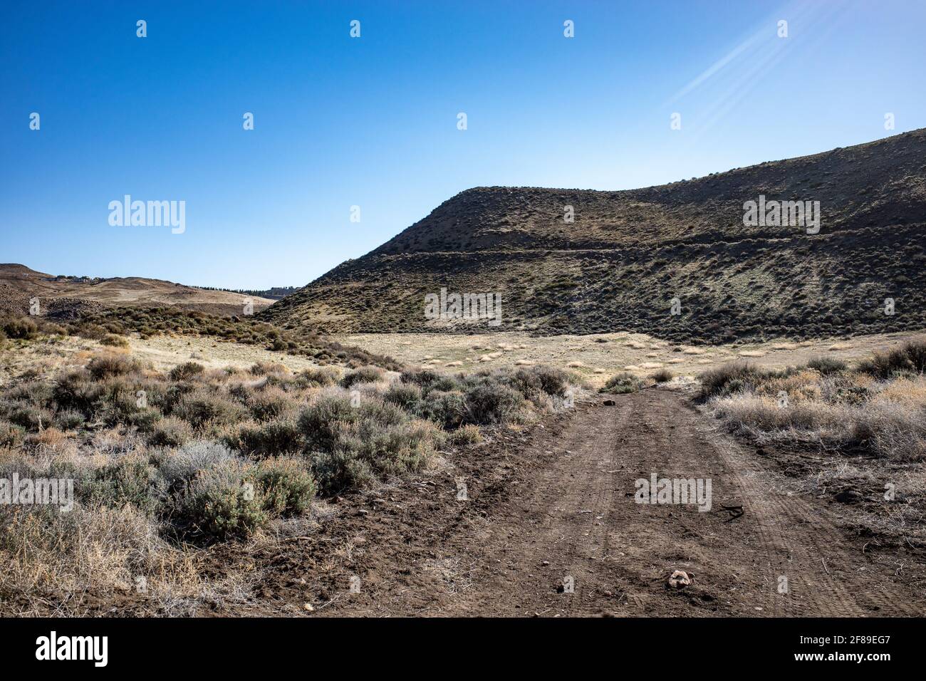 Reno landscape nevada hi-res stock photography and images - Alamy