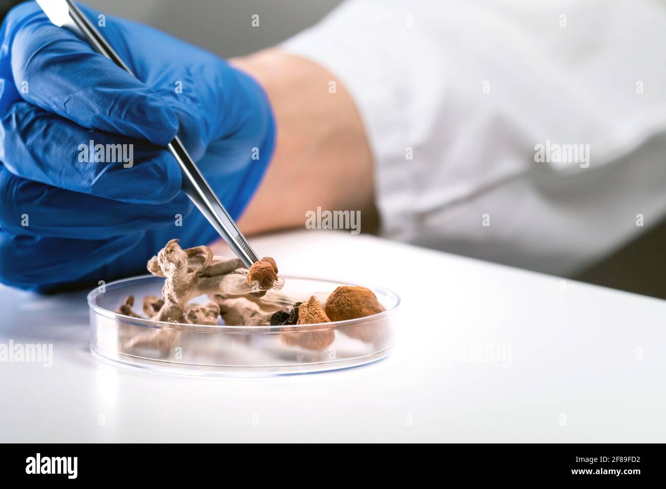 Poisonous plant research laboratory hi-res stock photography and images ...