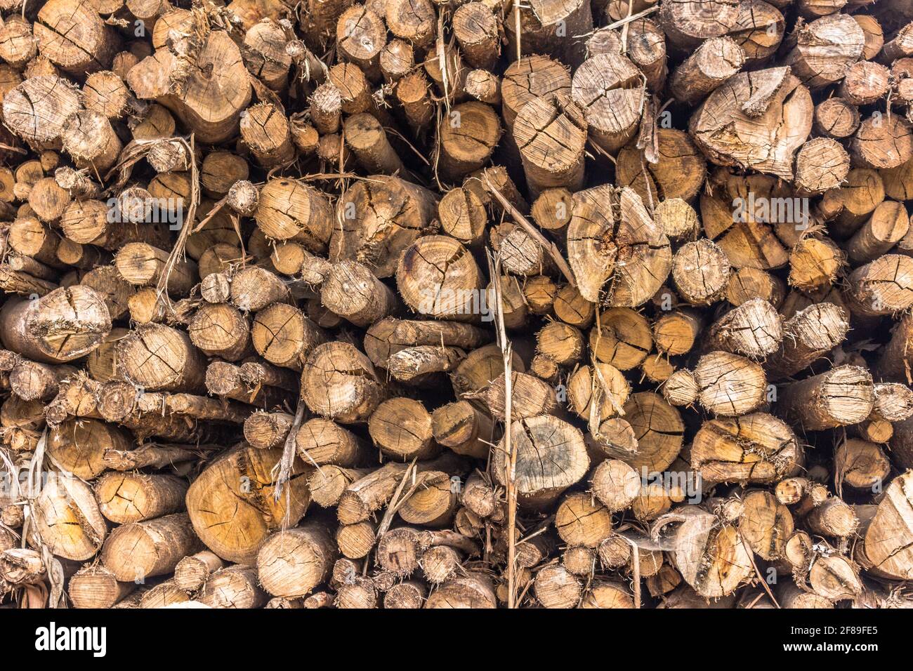 Stack of woods cut Stock Photo - Alamy