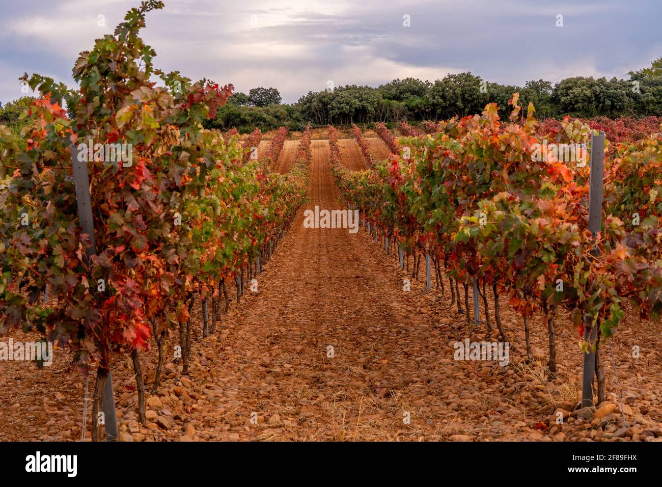 Intense colors hi-res stock photography and images - Alamy