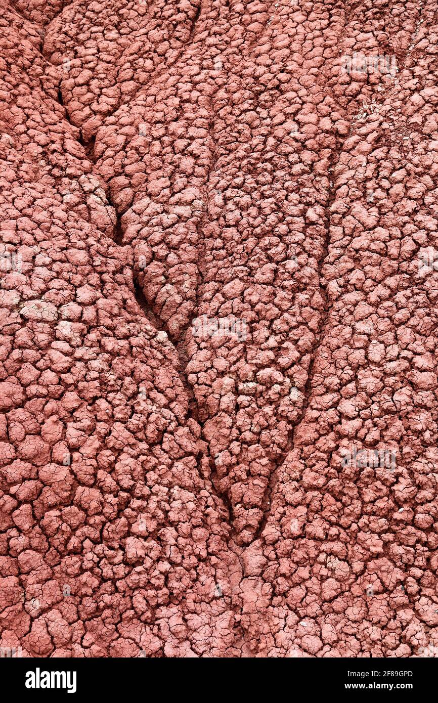 Sustainable agriculture texture hi-res stock photography and images - Alamy