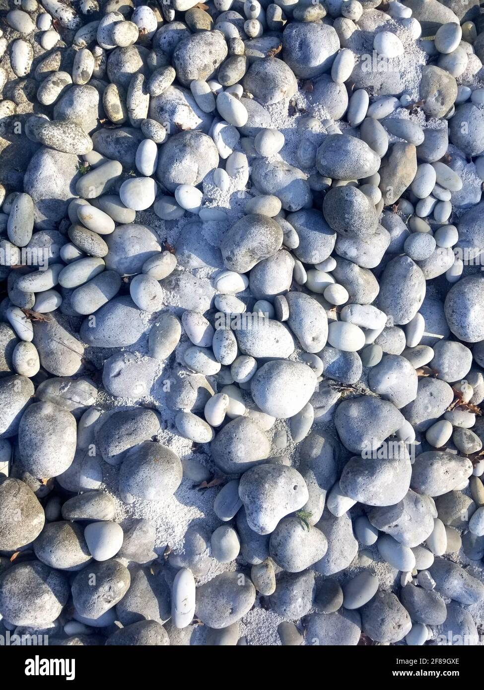 White river pebbles arranged as a background Stock Photo - Alamy