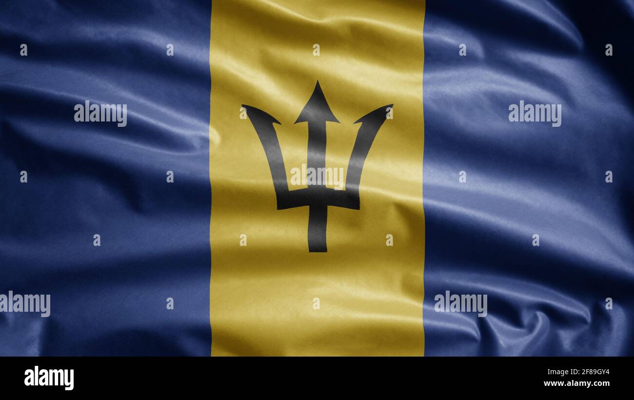 Barbadian flag waving in the wind. Close up of Barbados banner blowing ...