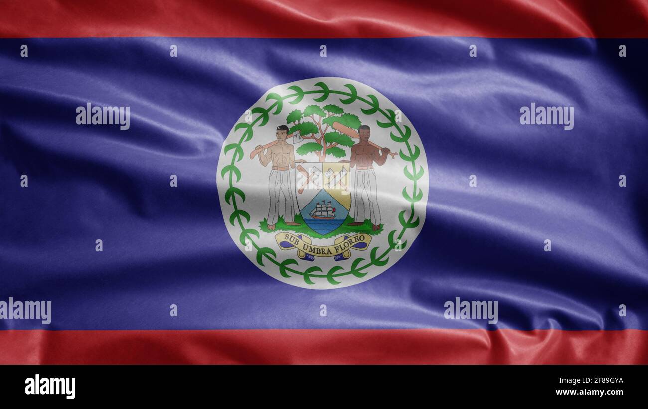 Belizean flag waving in the wind. Close up of Belize banner blowing ...