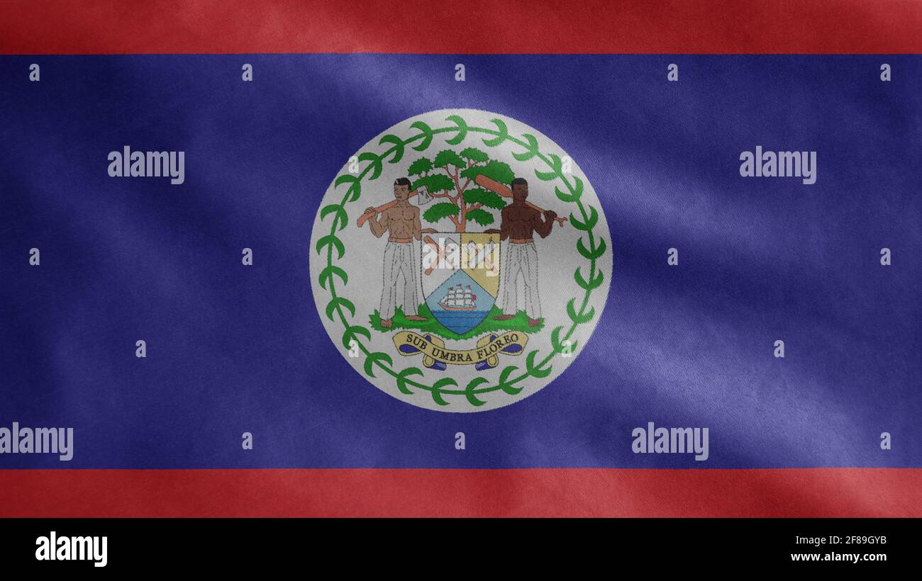 Belizean flag waving in the wind. Close up of Belize banner blowing ...