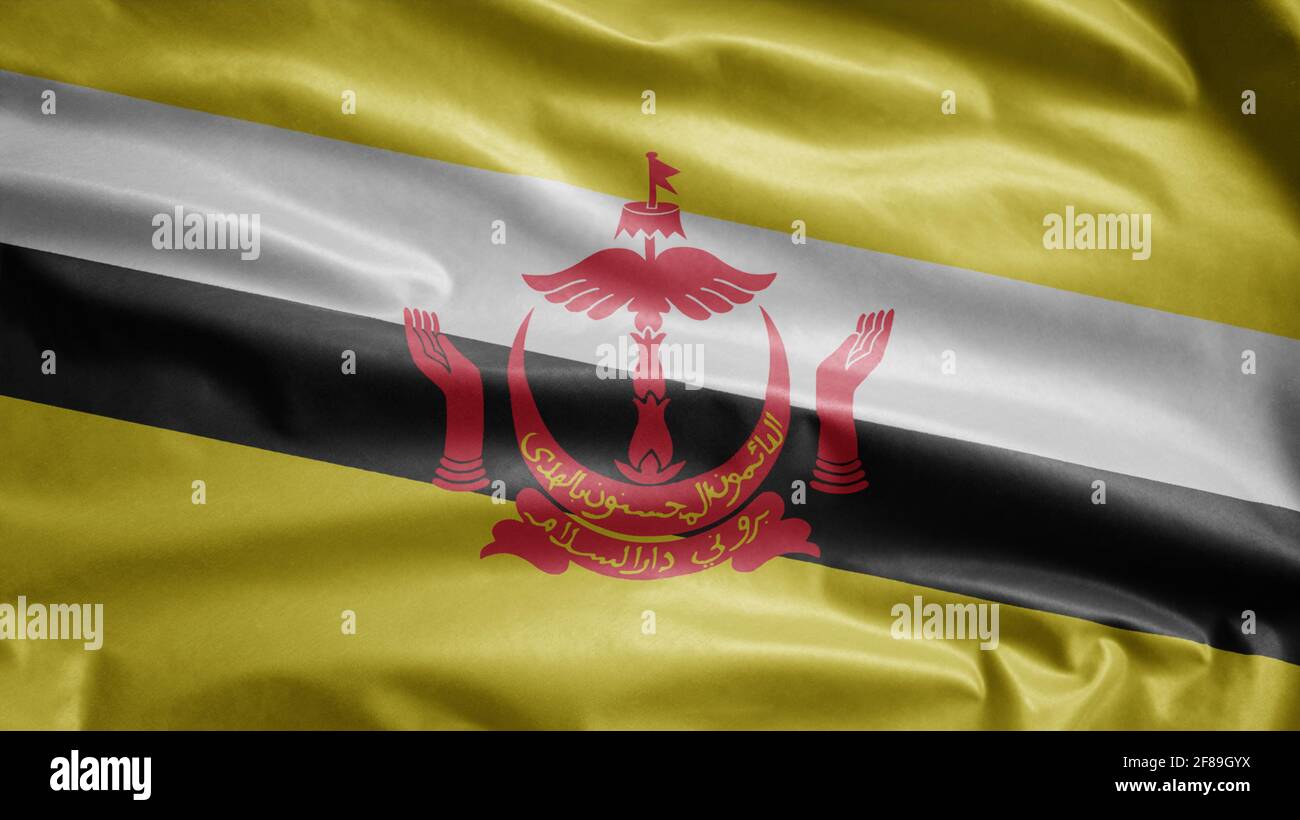Bruneian flag waving in the wind. Close up of Brunei banner blowing ...