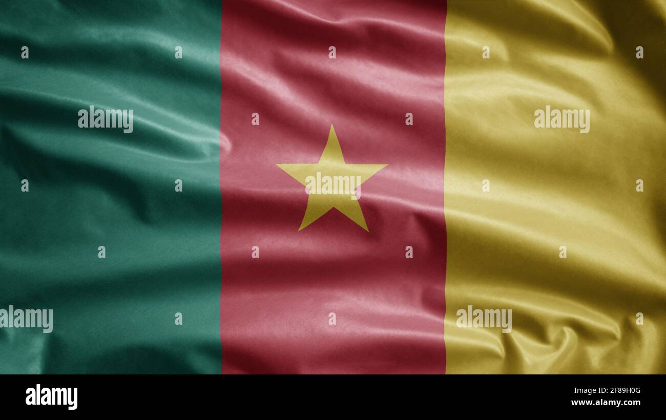 Cameroonian flag waving in the wind. Close up of Cameroon banner ...