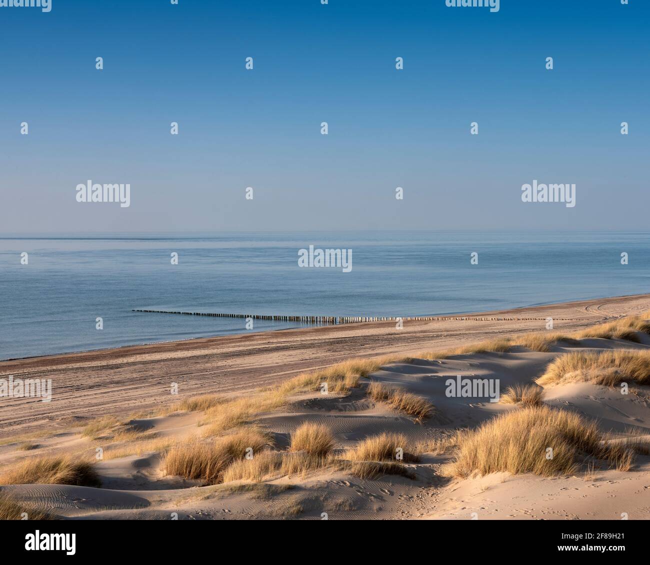 dunes and almost deserted beach on dutch coast near renesse in zeeland ...