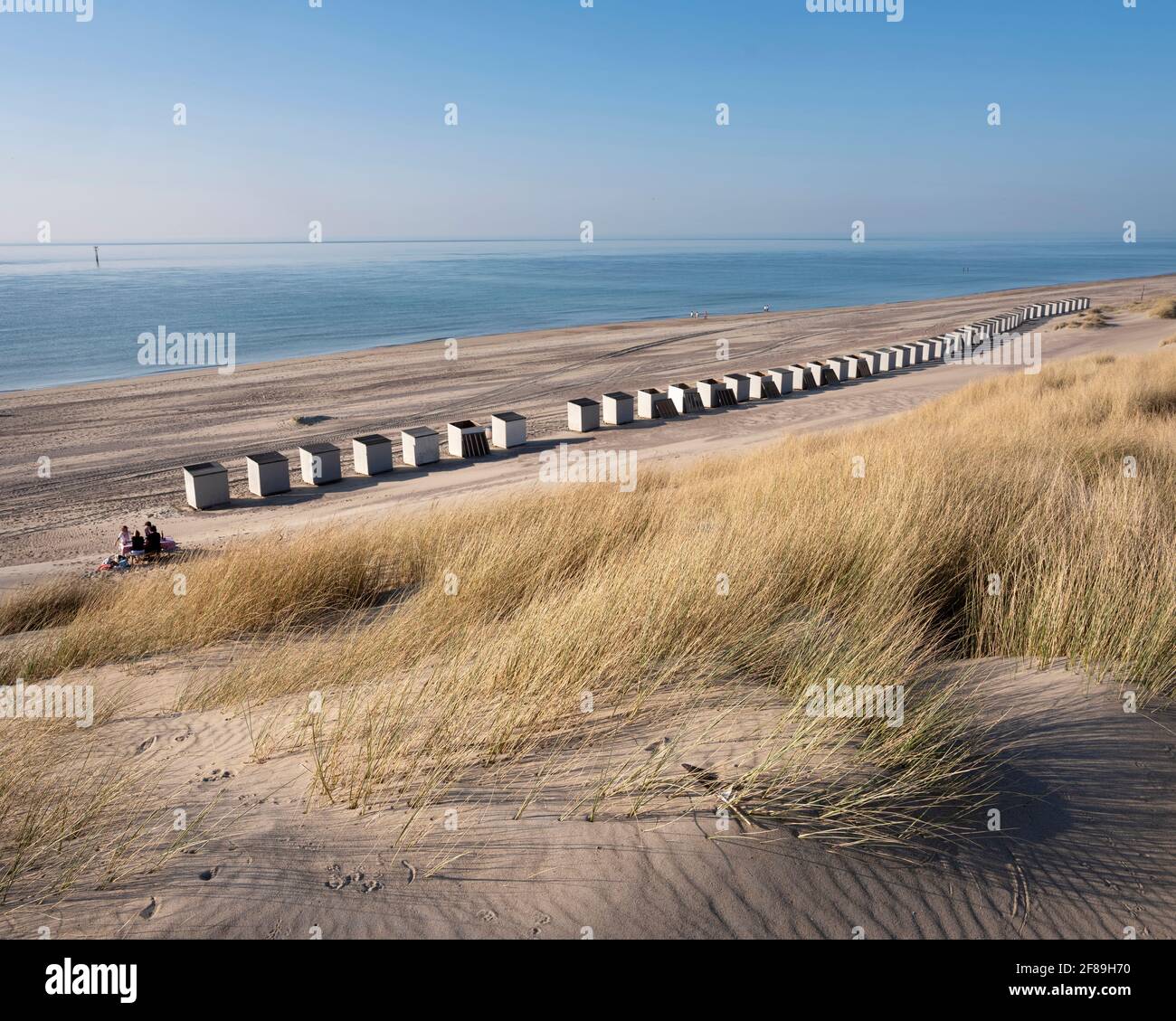 dunes and almost deserted beach on dutch coast near renesse in zeeland ...